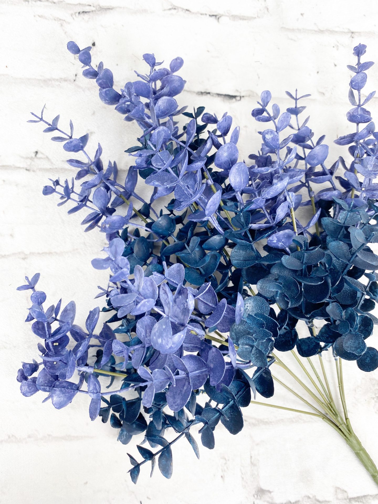 Navy Blue Eucalyptus Bush - Kelea's Florals