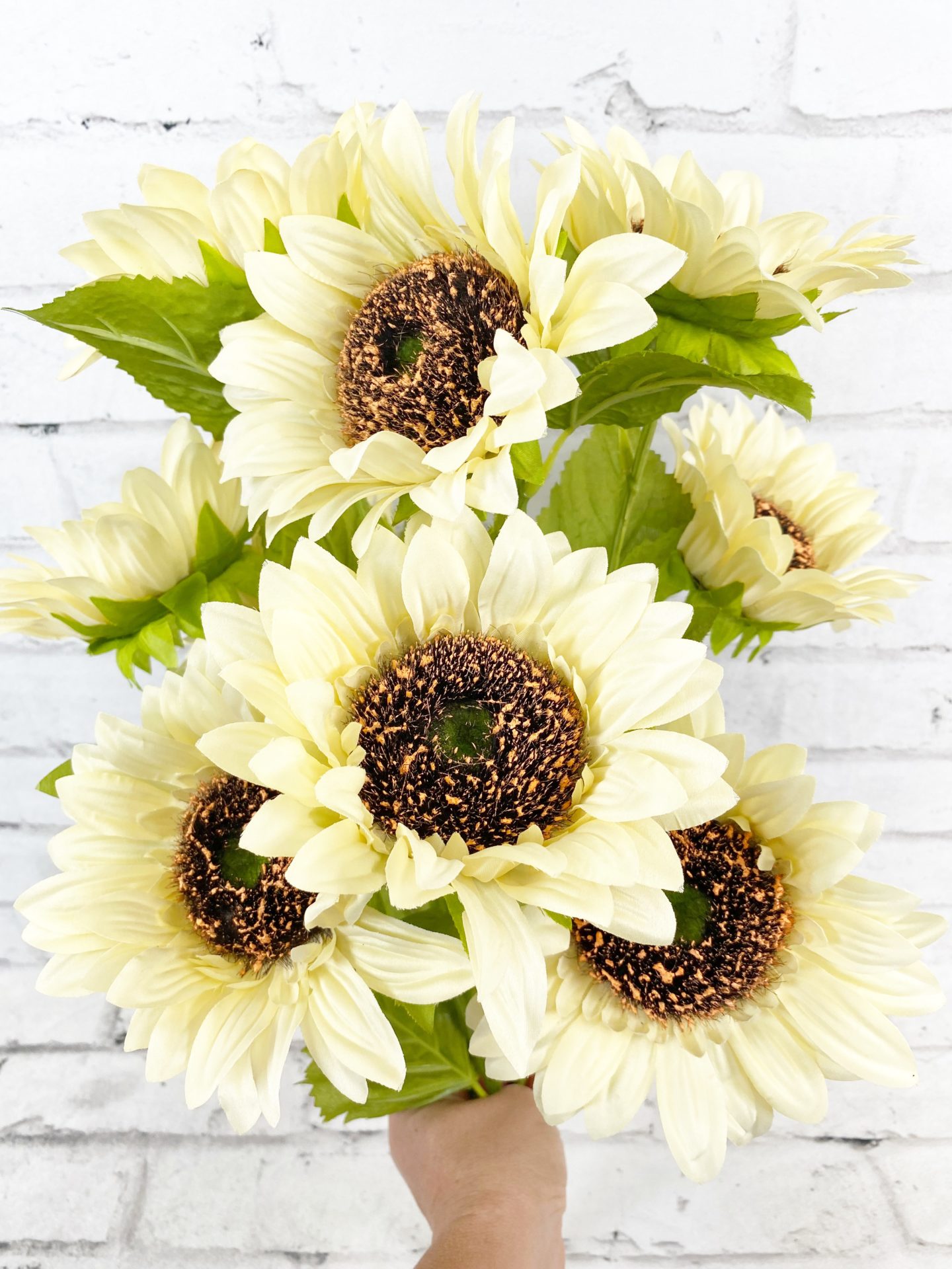 Cream Sunflower Bush - Kelea's Florals