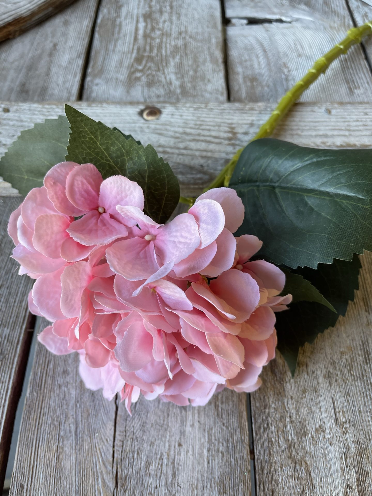 Pink Hydrangea Stem - Kelea's Florals