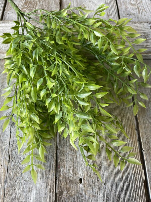 Green Smilax leaves Bush - Kelea's Florals