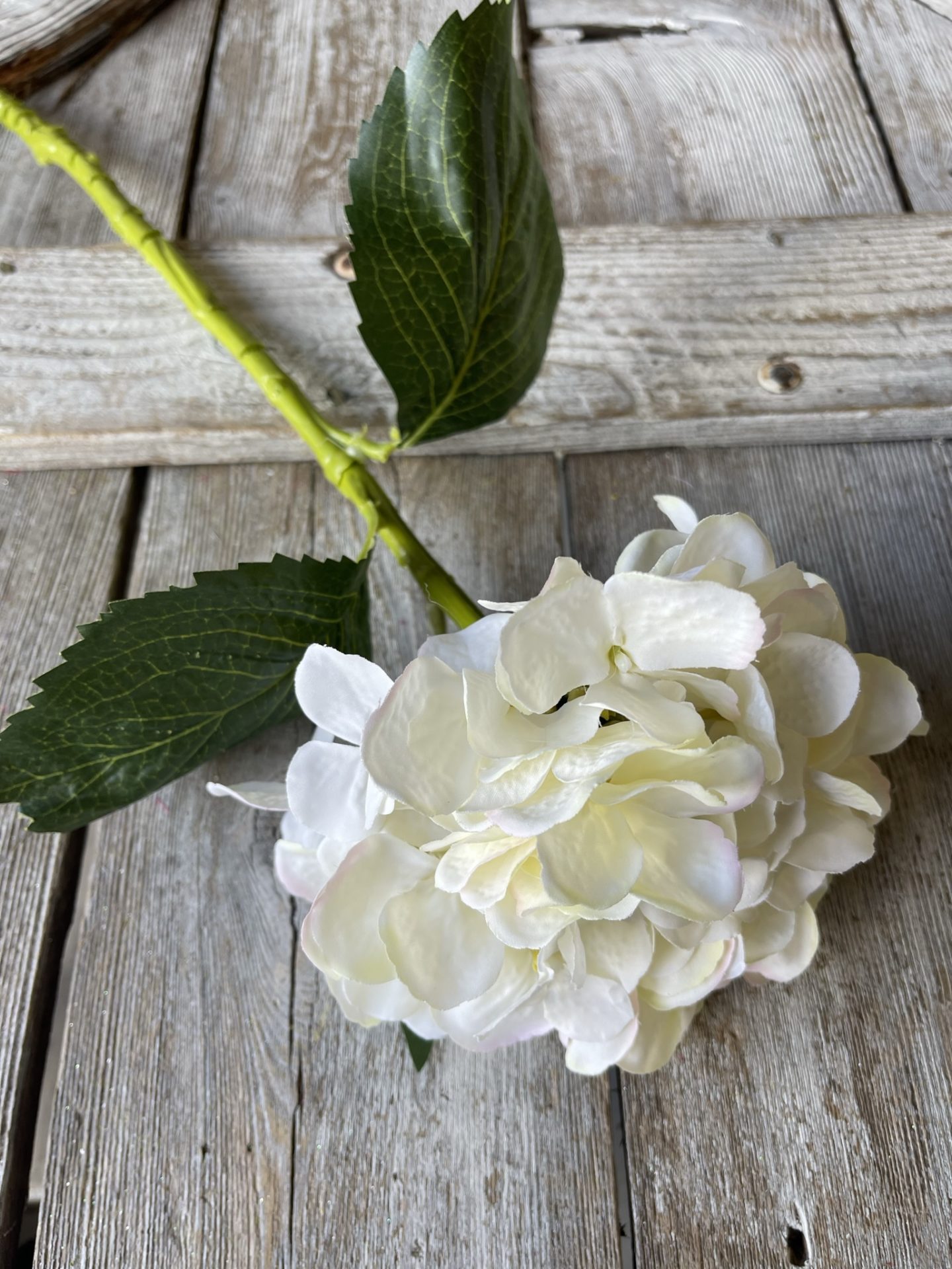 Cream Hydrangea Stem - Kelea's Florals