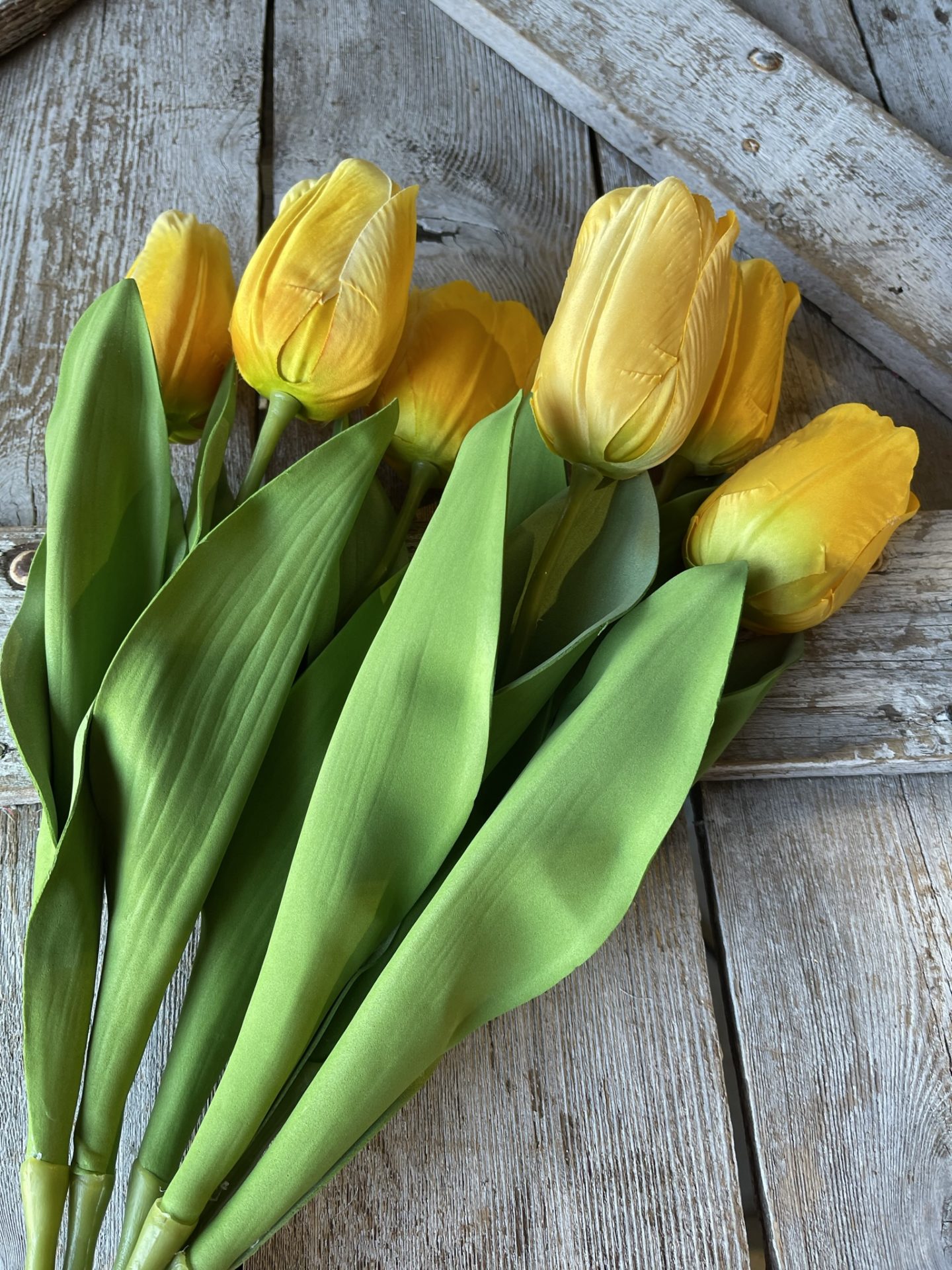 26" Yellow Tulip Bundle of 6 Heads - Kelea's Florals
