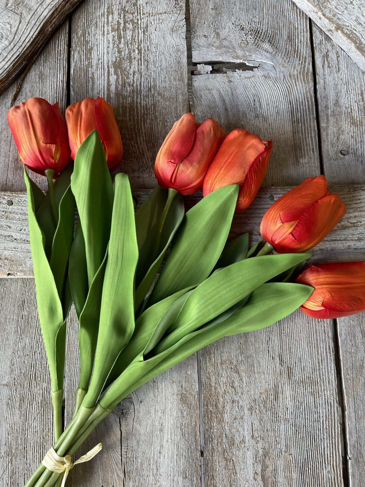 26" Orange Tulip Bundle of 6 Heads - Kelea's Florals