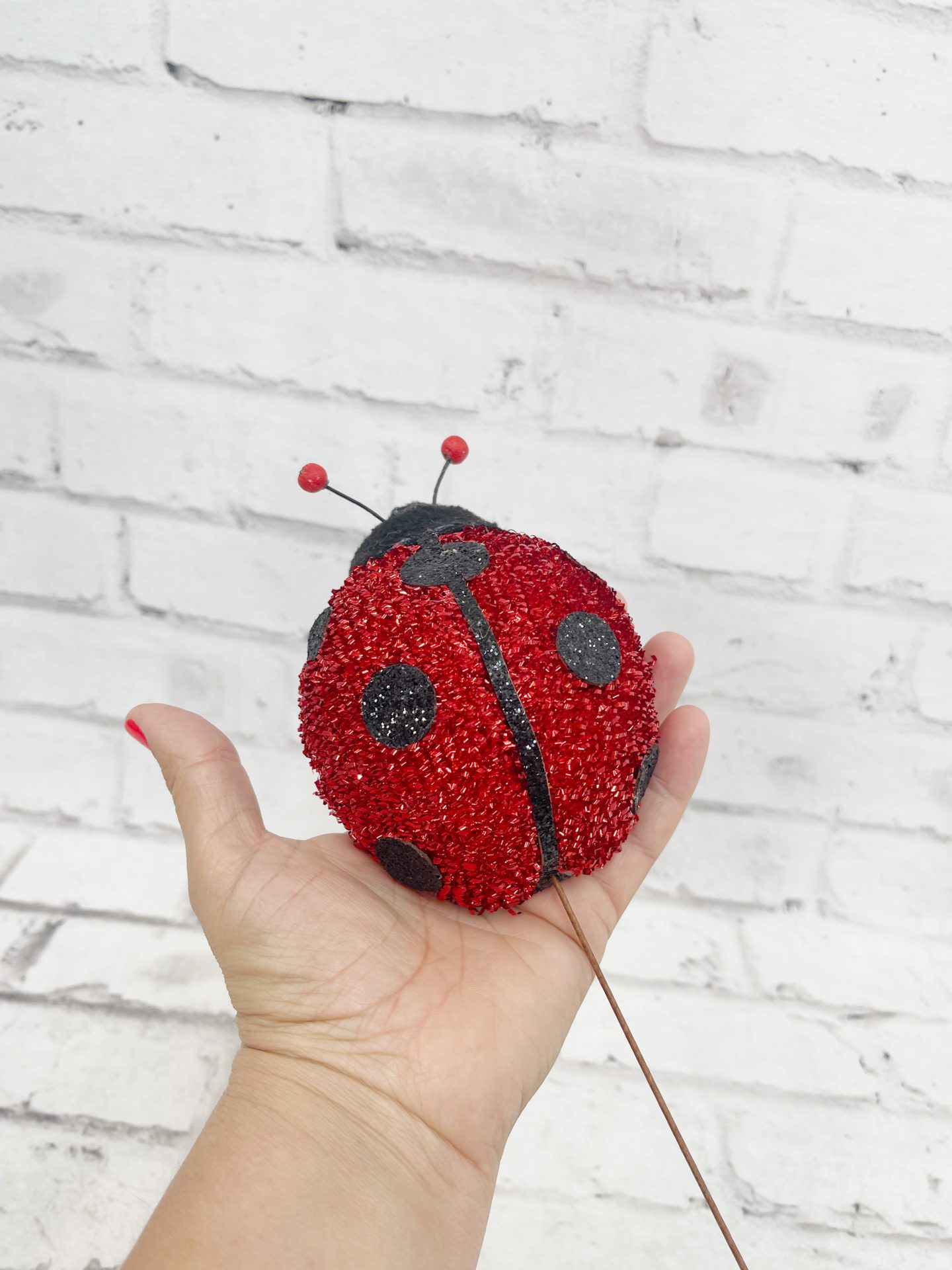 Lady Bug Pick - Kelea's Florals