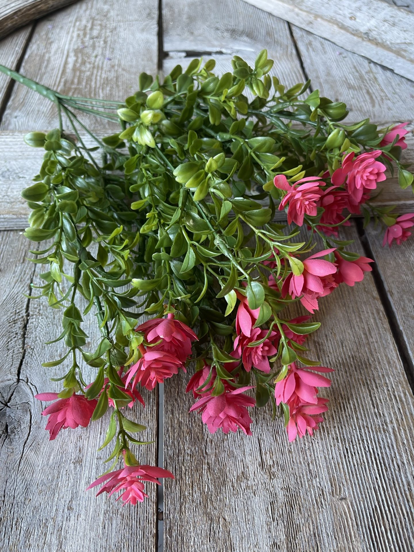 Pink Tea Flower Bush - Kelea's Florals