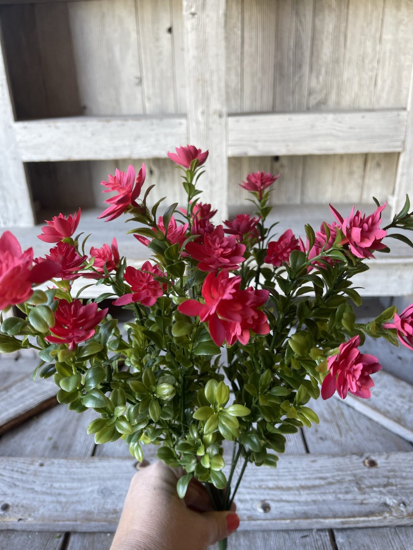 Pink Tea Flower Bush - Kelea's Florals