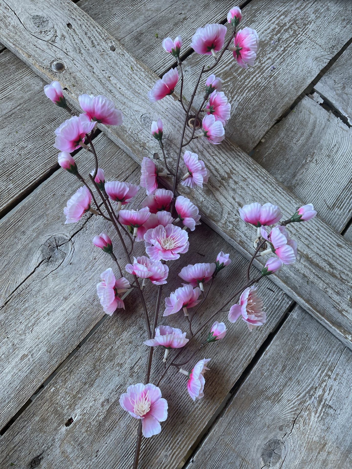 Pink Peach Blossom Stem - Kelea's Florals