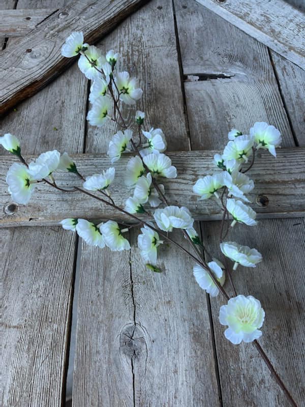 Cream Peach Blossom Stem - Kelea's Florals