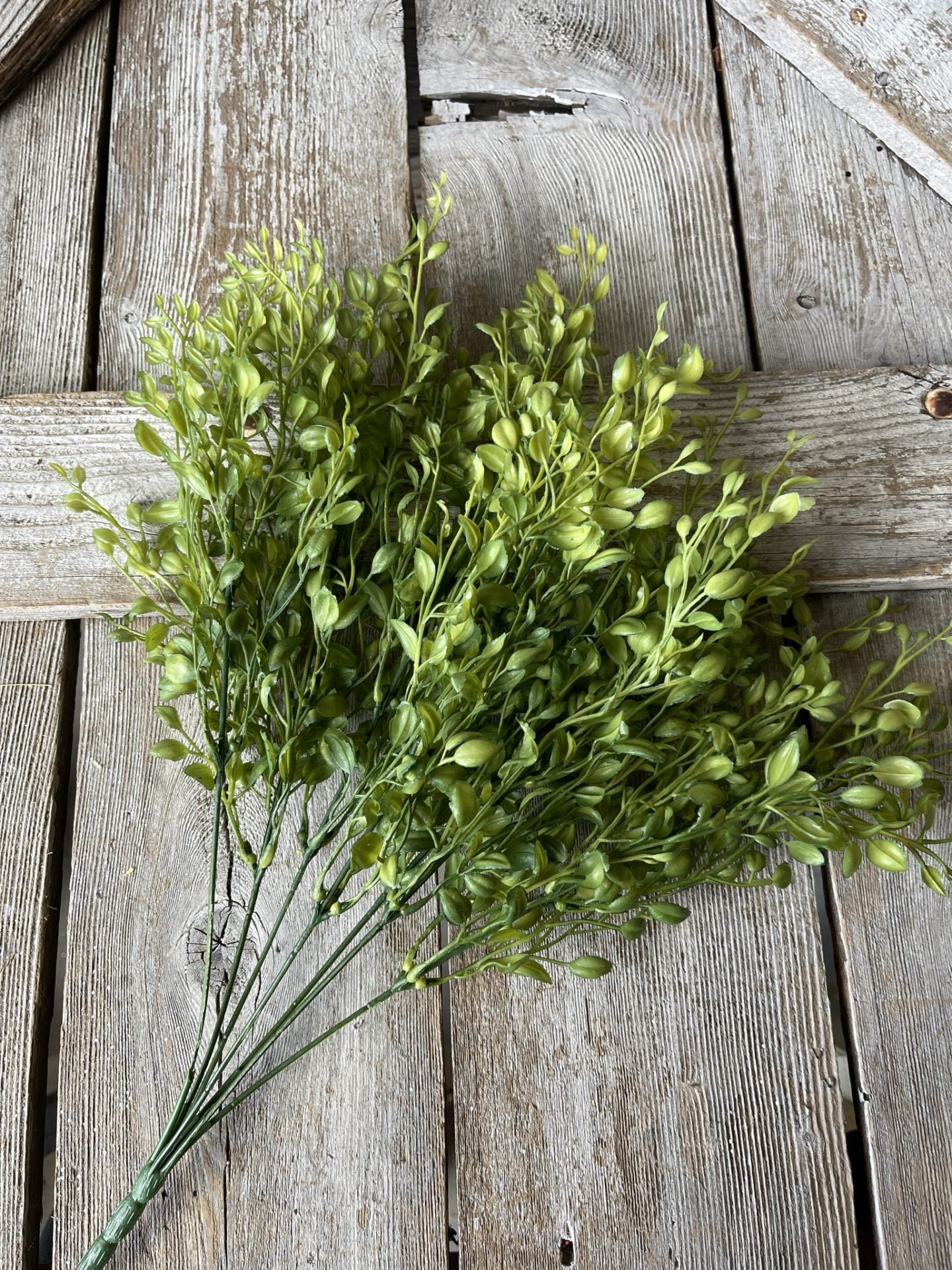 Green Button Leaves Bush - Kelea's Florals