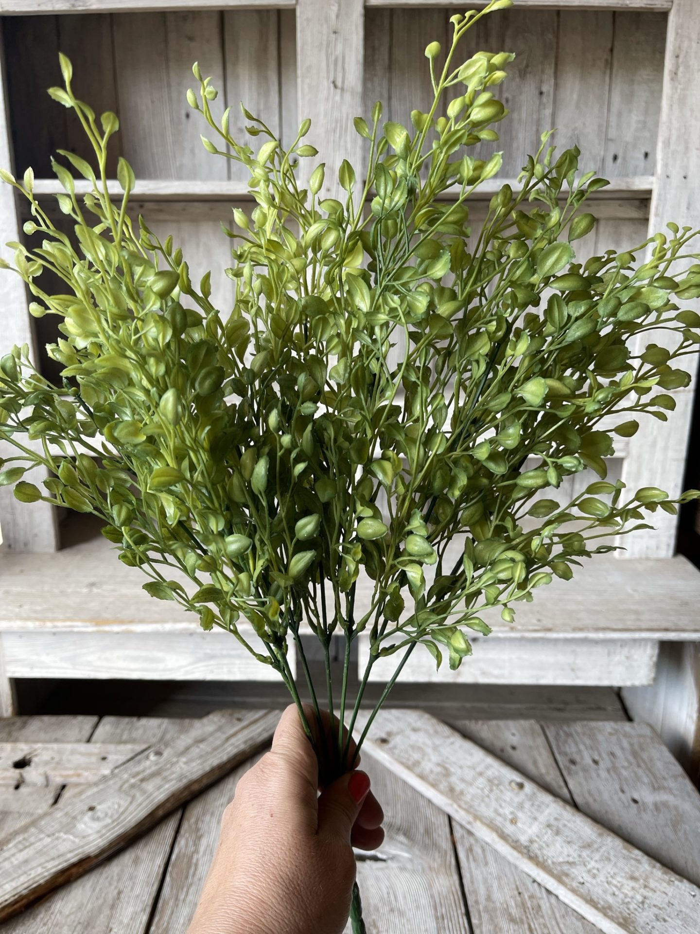 Green Button Leaves Bush - Kelea's Florals