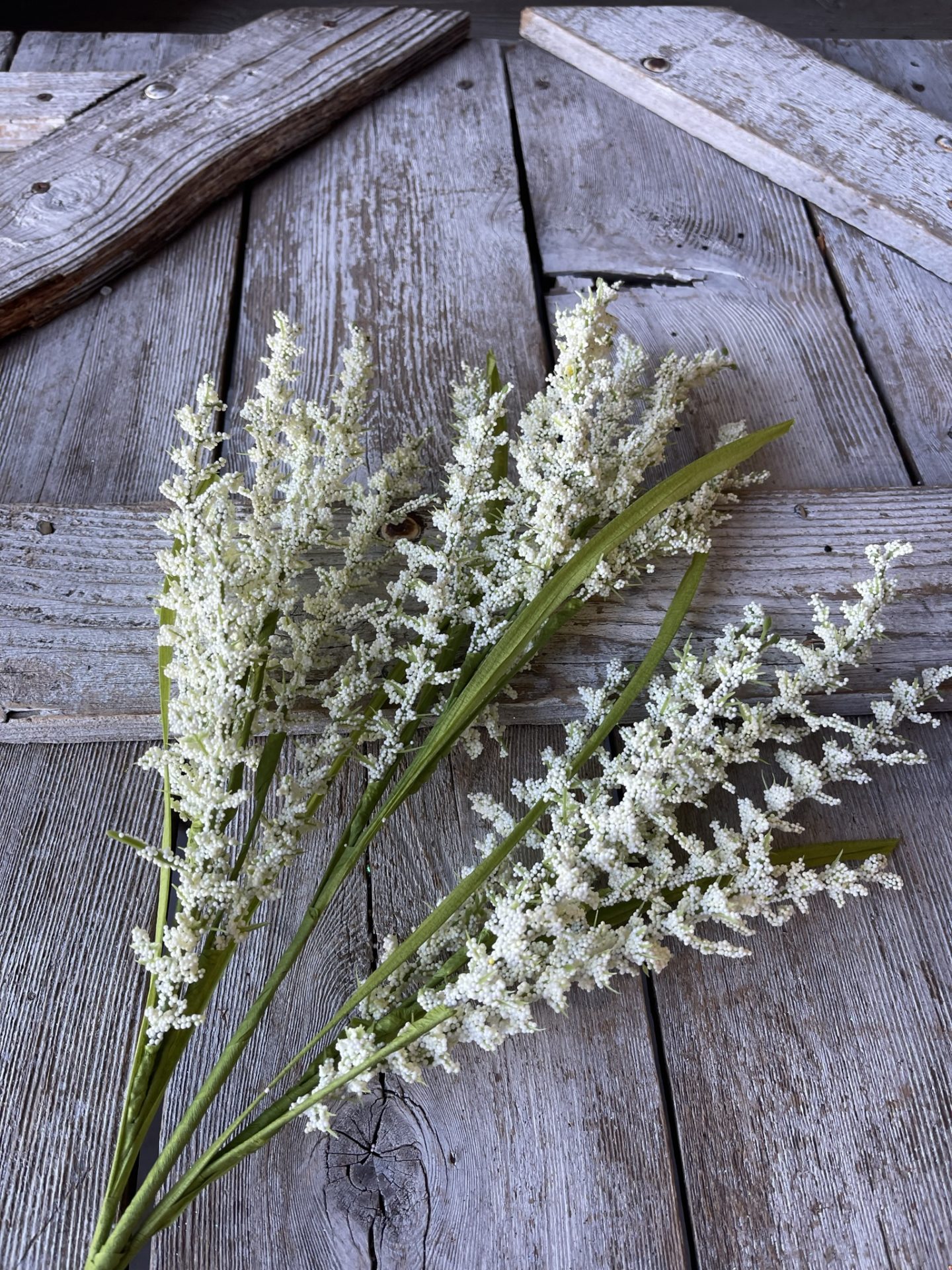 Cream Feather Reed Grass Stem - Kelea's Florals