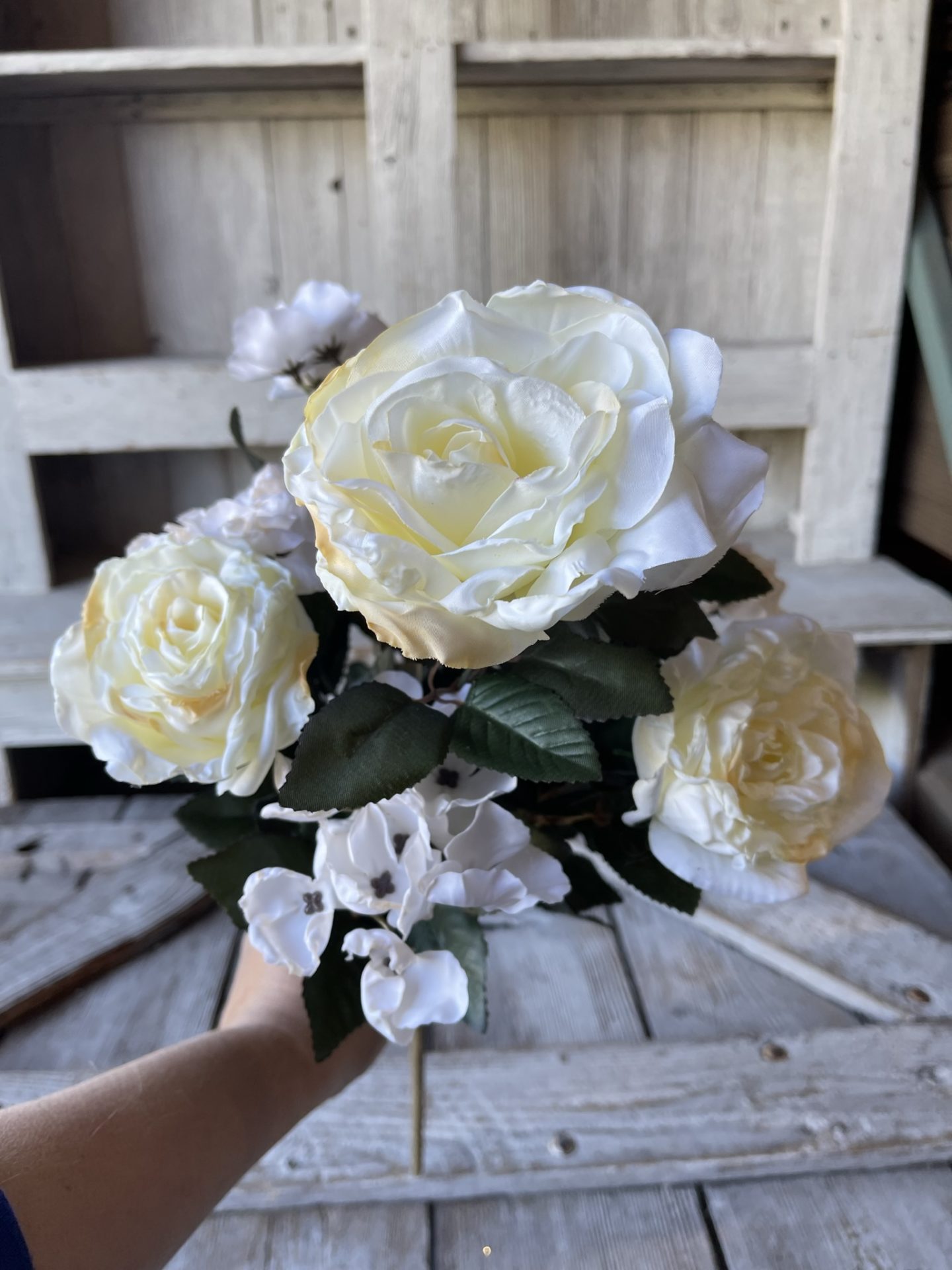 Cream Rose Hydrangea Bush - Kelea's Florals