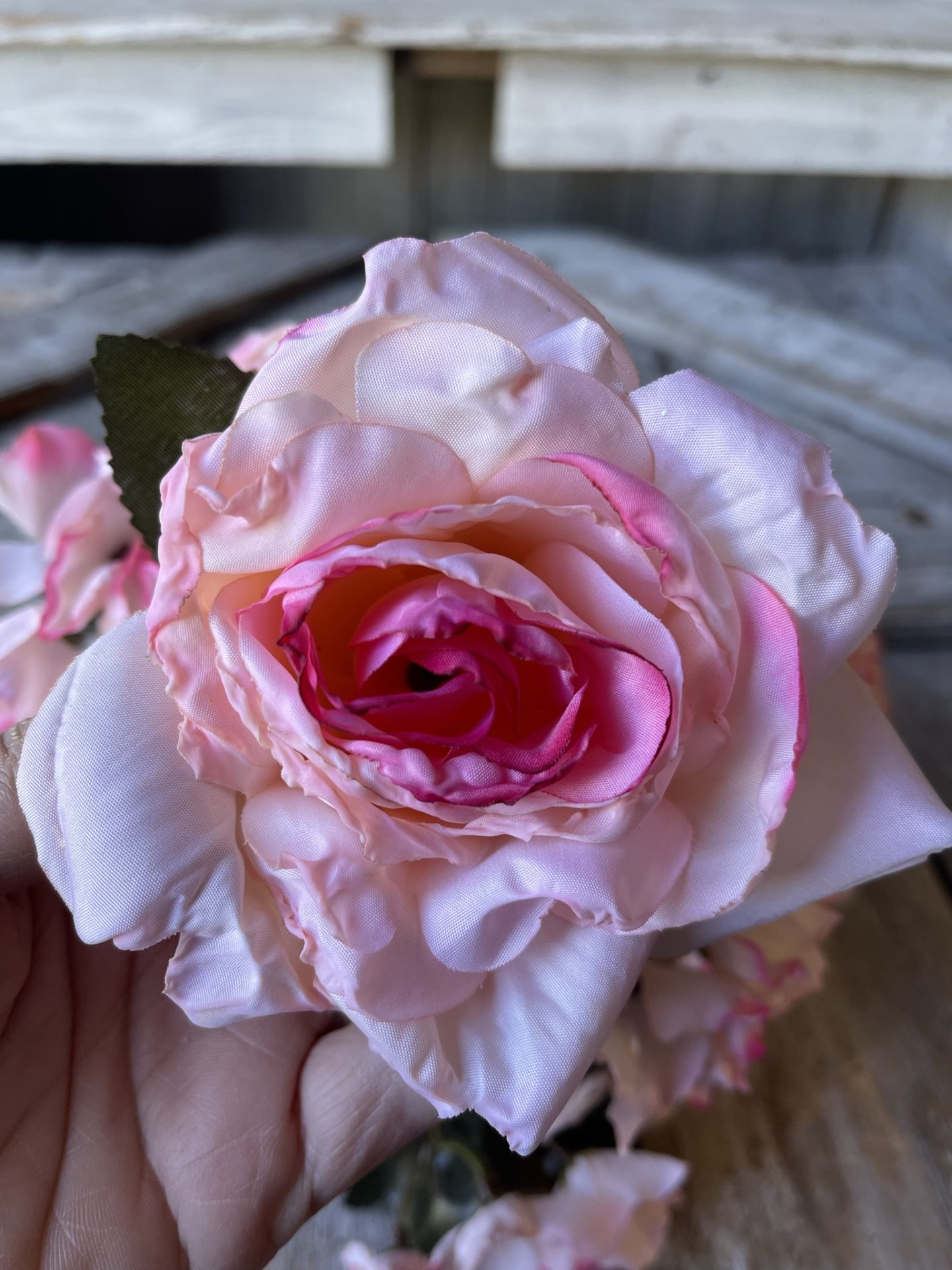 Pink Rose Hydrangea Bush - Kelea's Florals