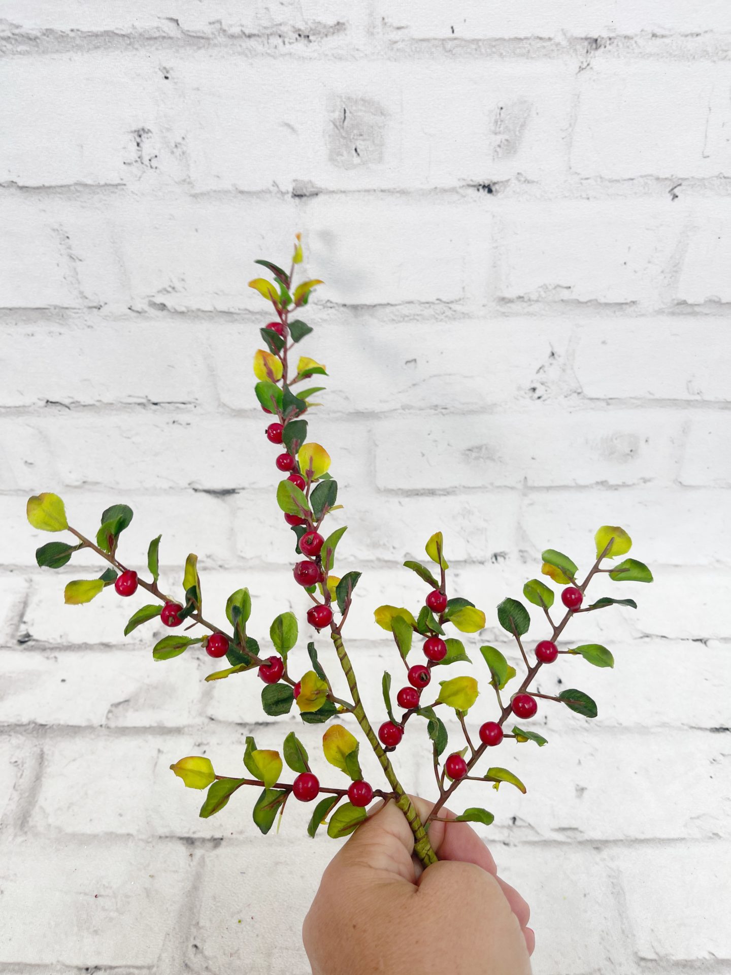 Red Berry with leaves Stem - Kelea's Florals