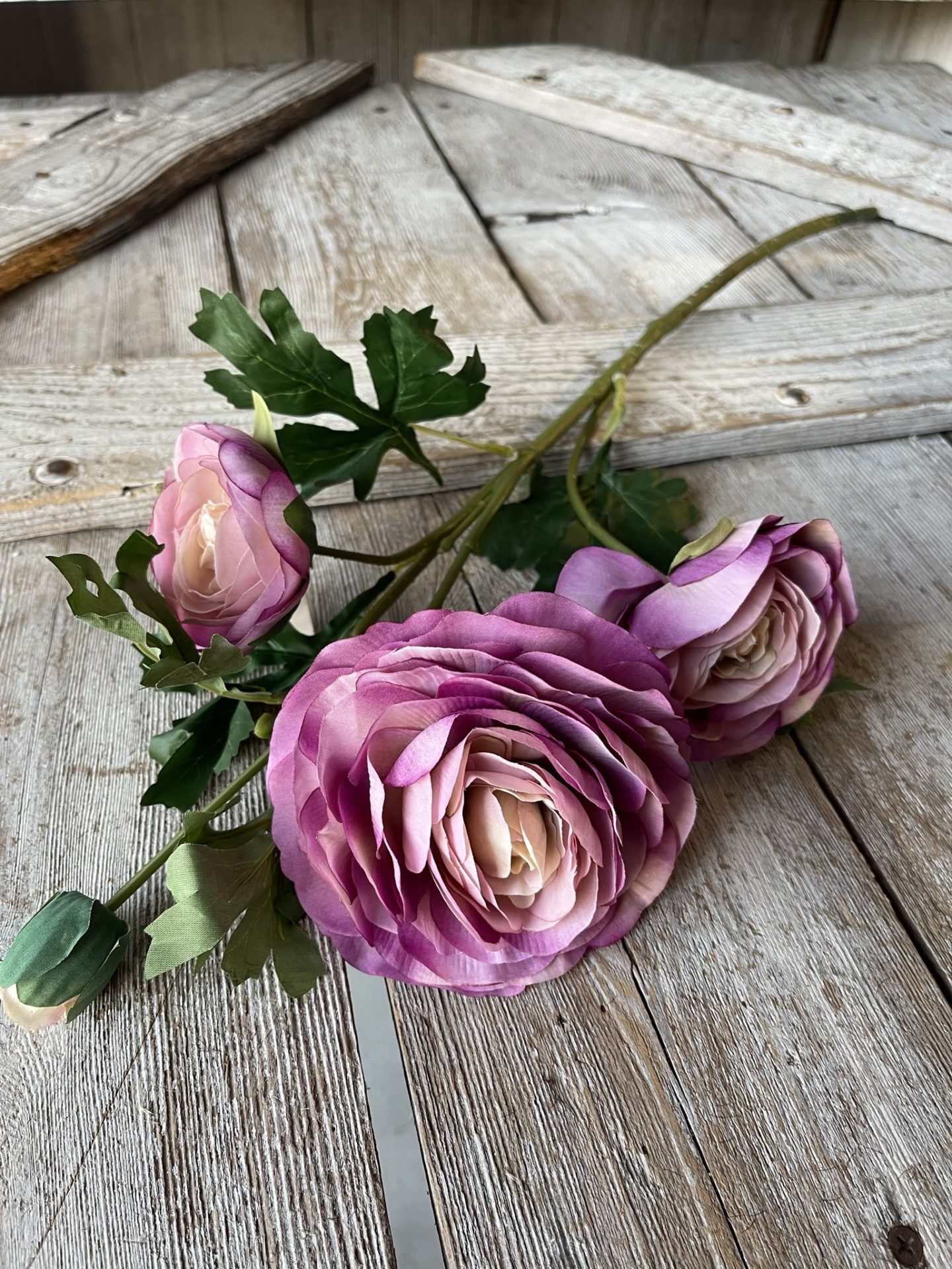Purple Italian Ranunculus Stem - Kelea's Florals