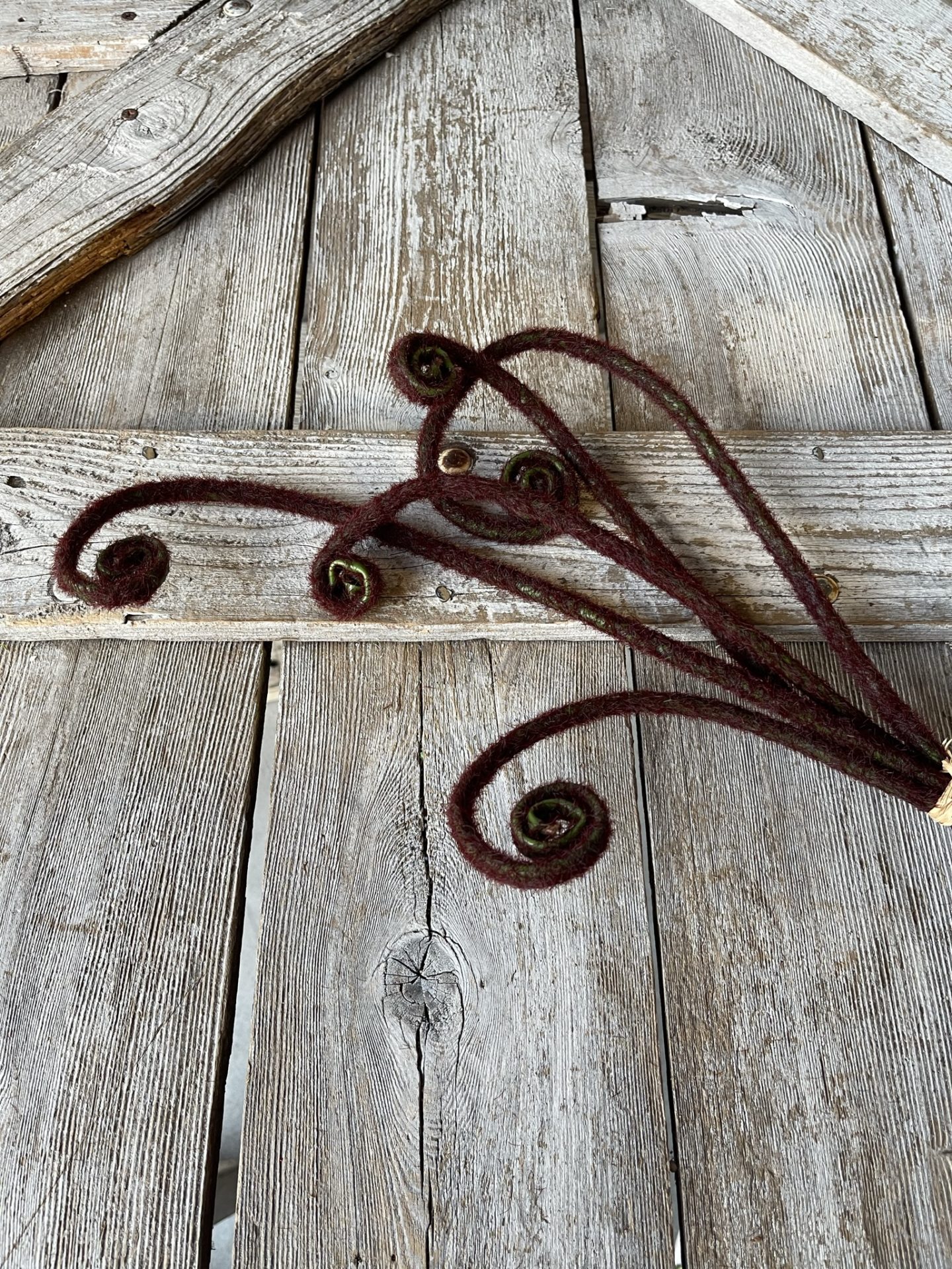 Green Red Brown ULUHE Fern Bundle - Kelea's Florals