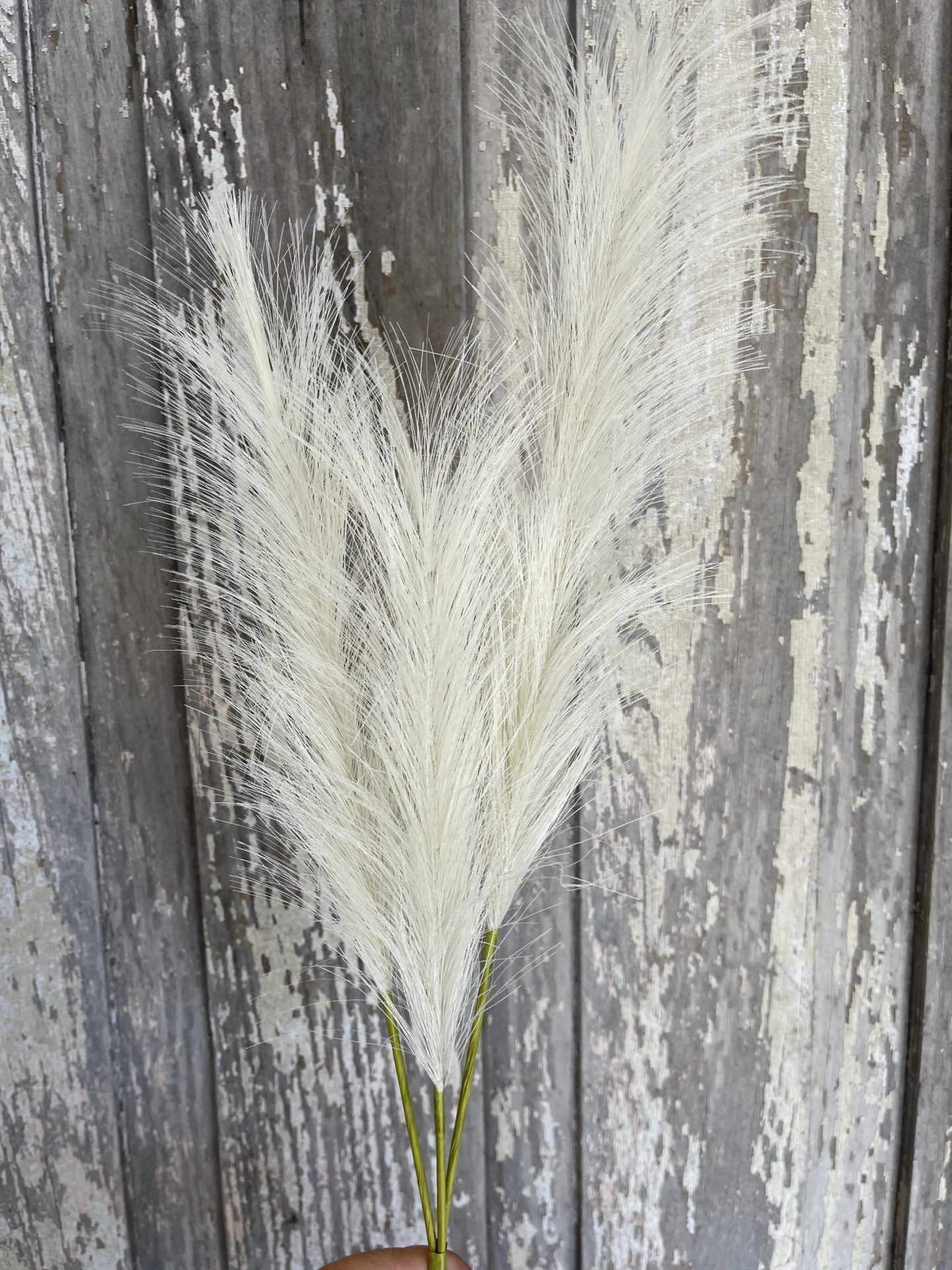 Cream Pampas Grass Stem - Kelea's Florals