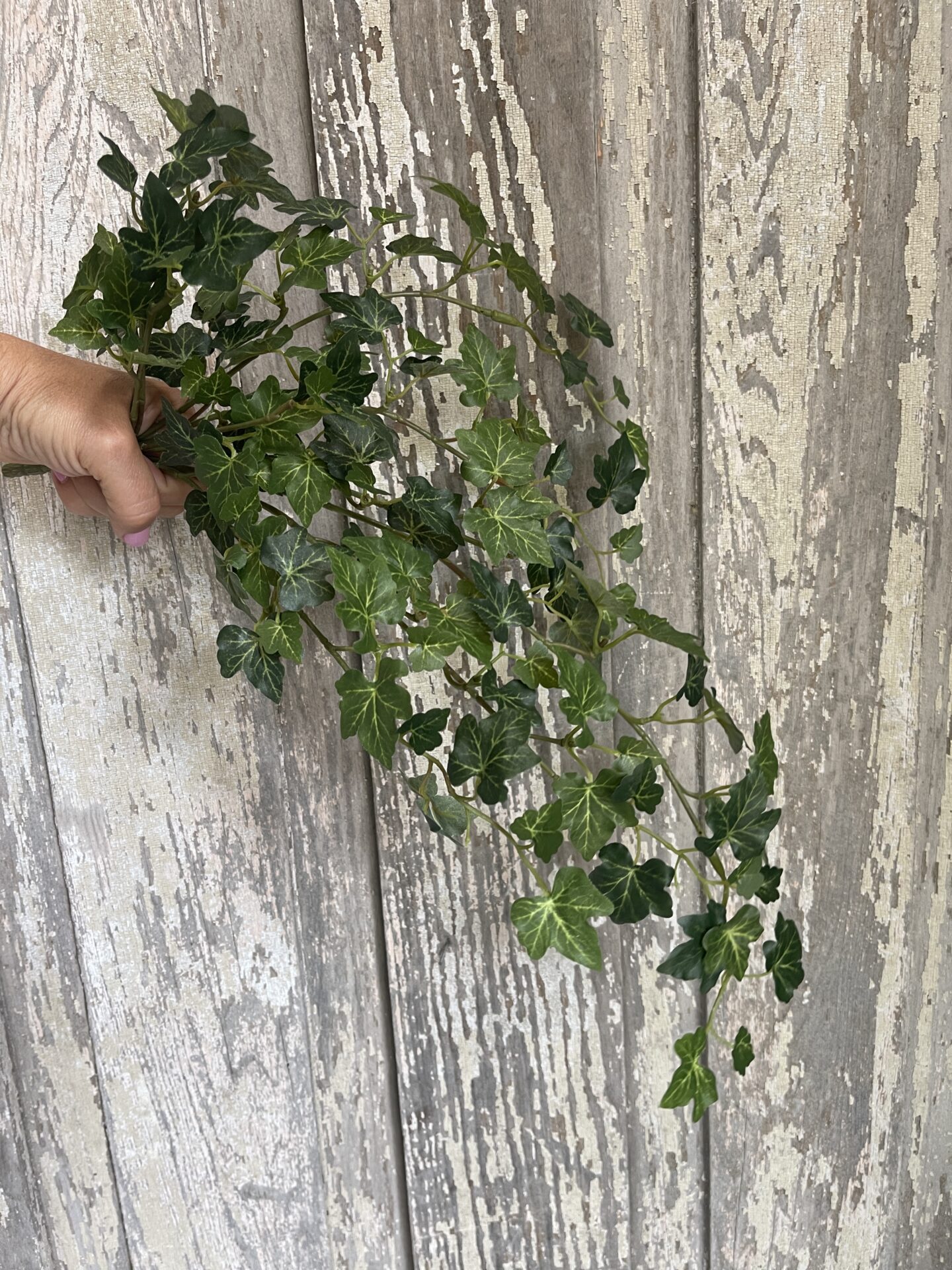 20" Mini Ivy Bush - Kelea's Florals