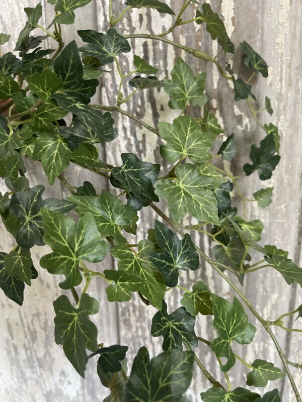 20" Mini Ivy Bush - Kelea's Florals