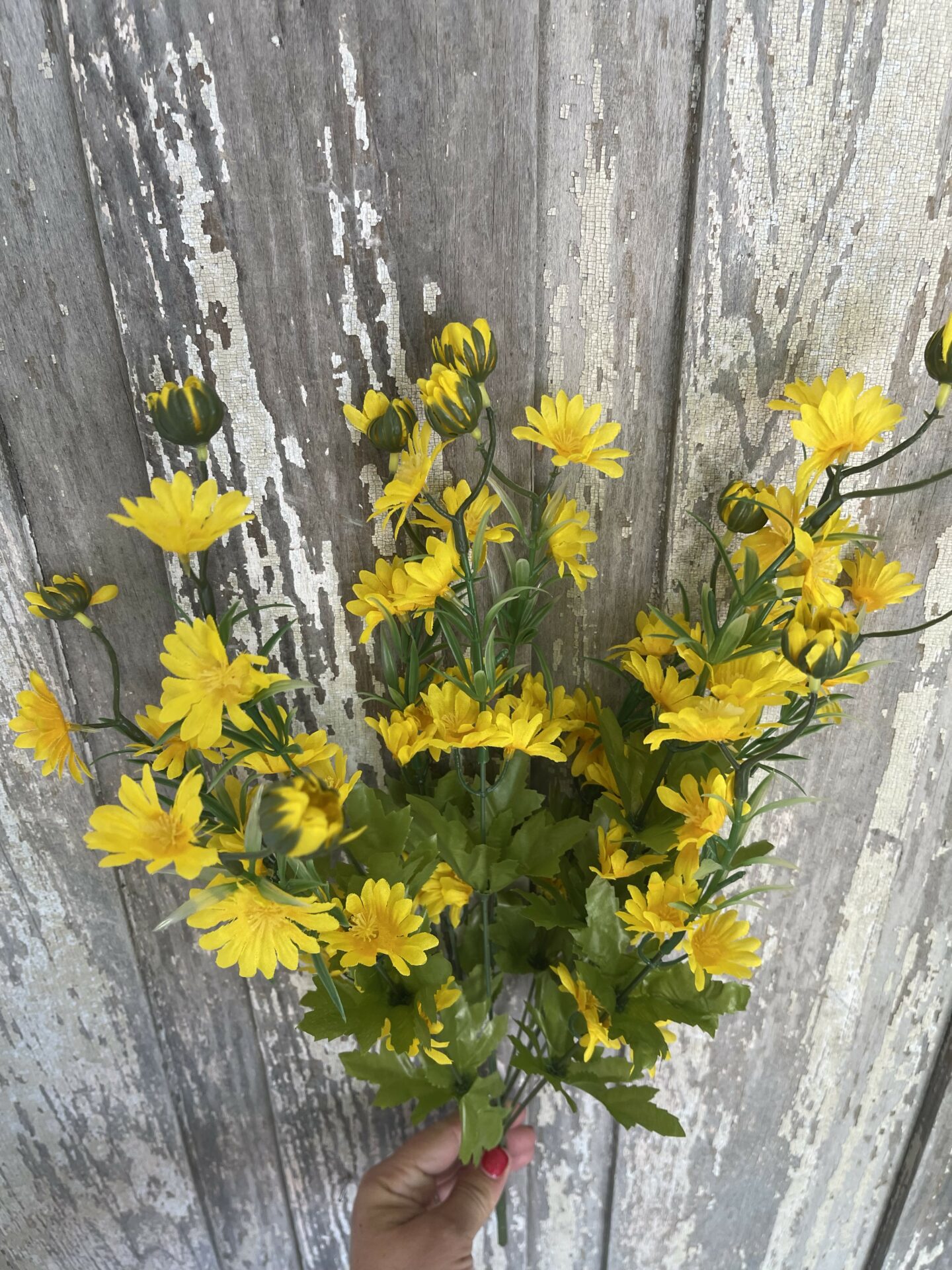 21" Yellow Mini Daisy Bush - Kelea's Florals