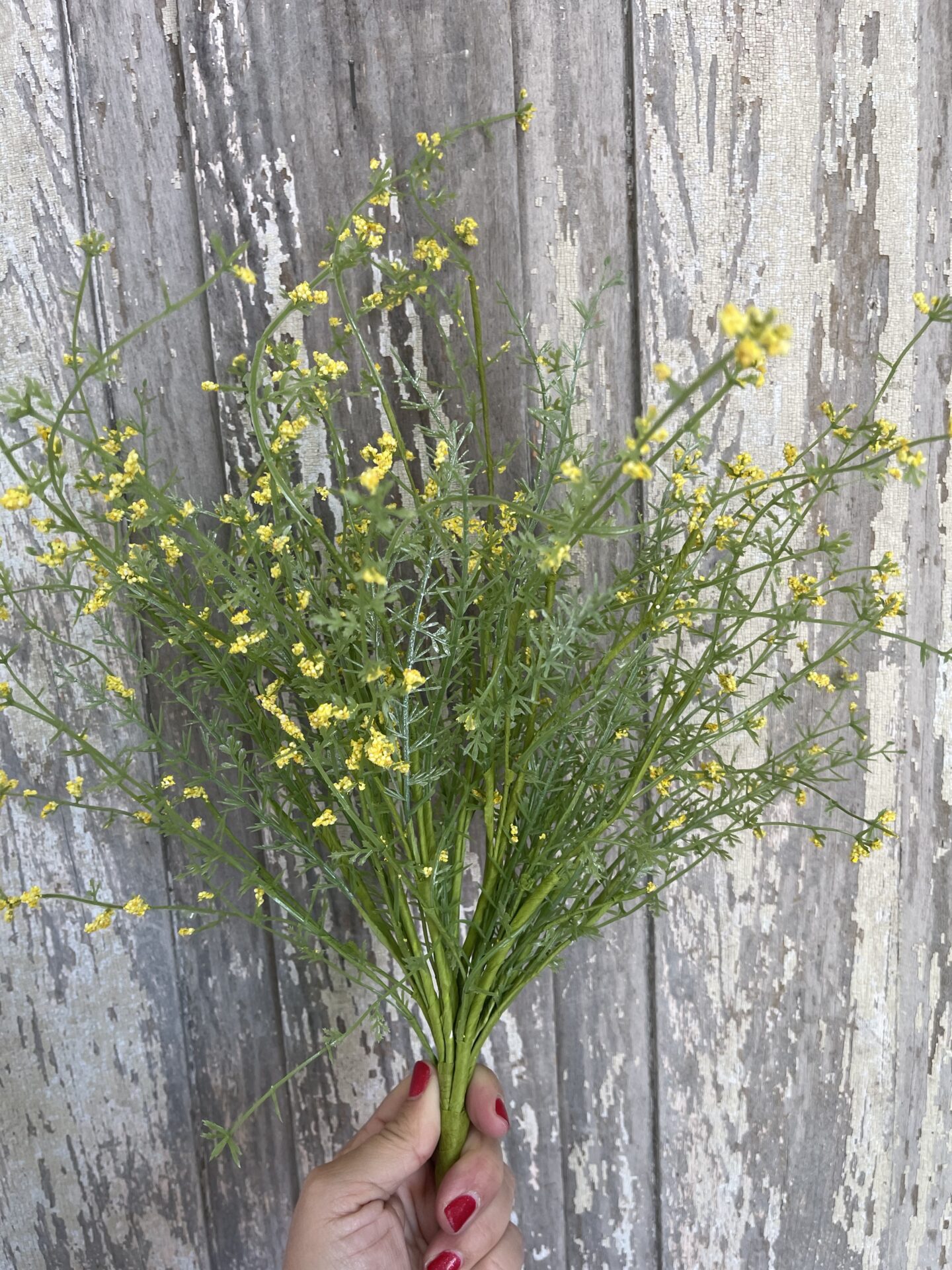 22 Yellow Filler Bush - Kelea's Florals