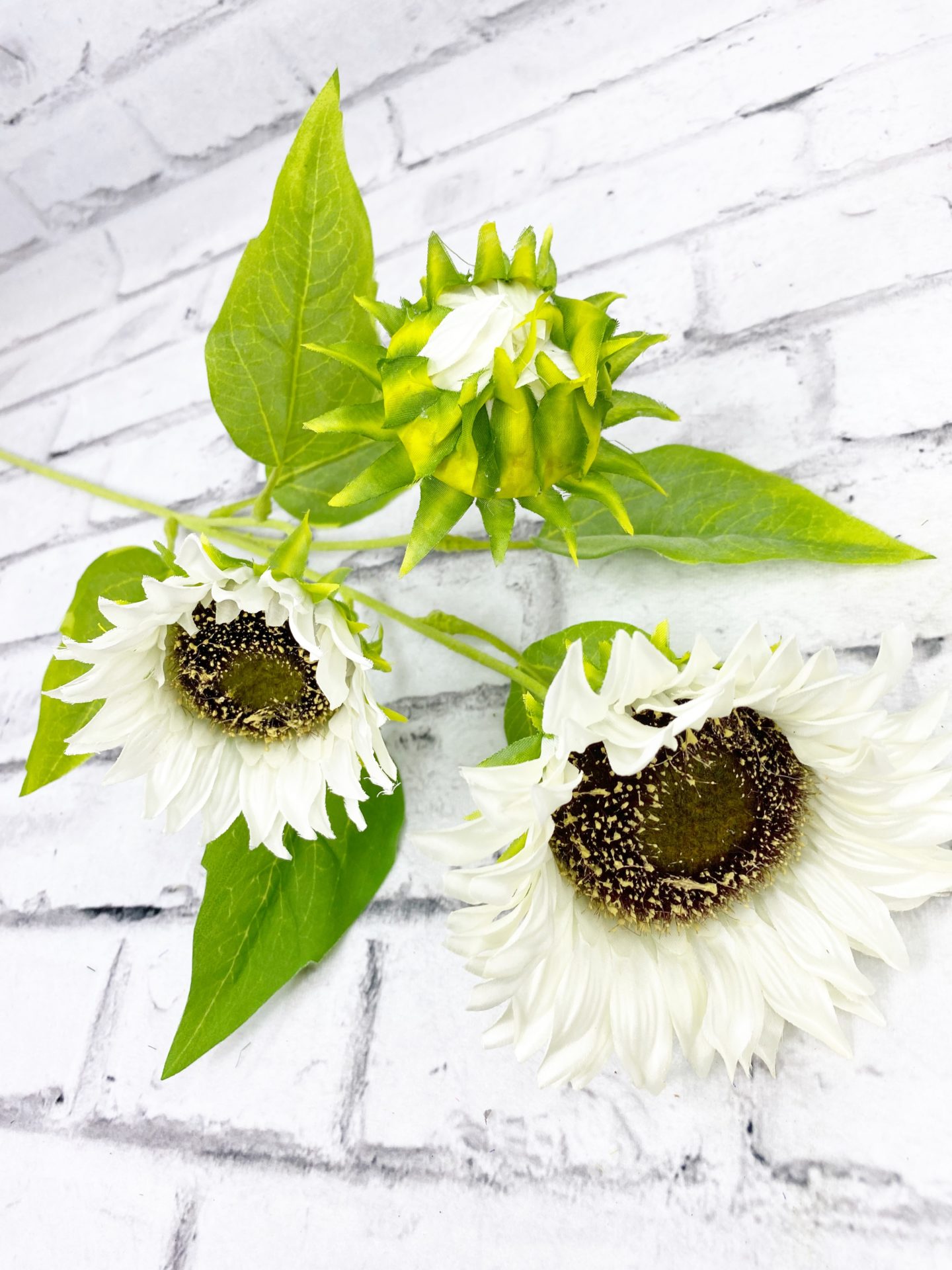 Cream Sunflower Stem - Kelea's Florals