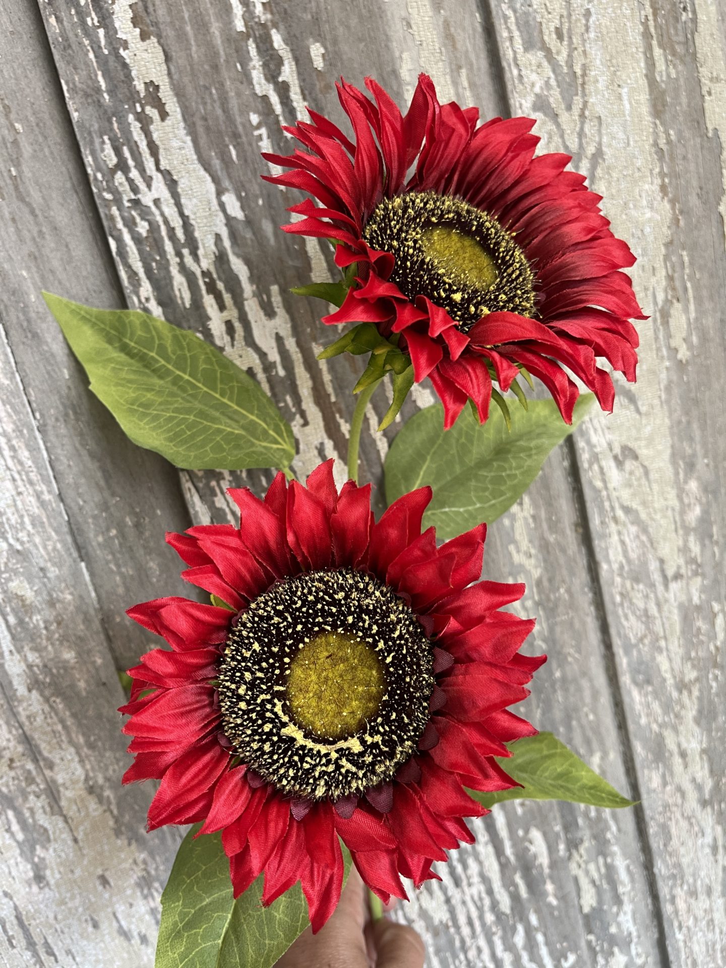 Red Sunflower - Kelea's Florals