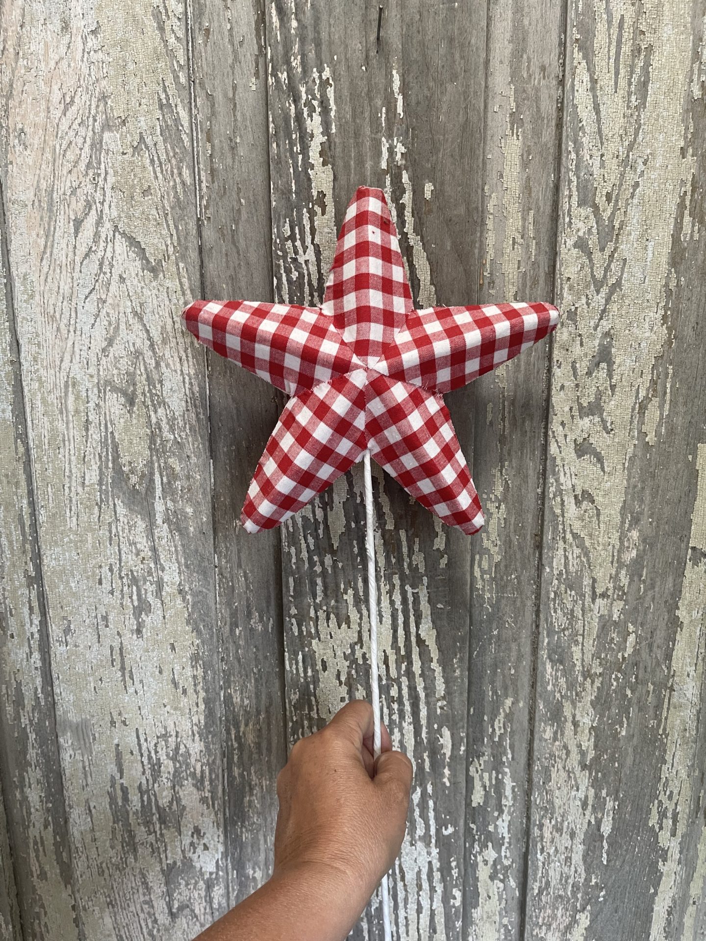 Blue and White Gingham Star Pick - Kelea's Florals