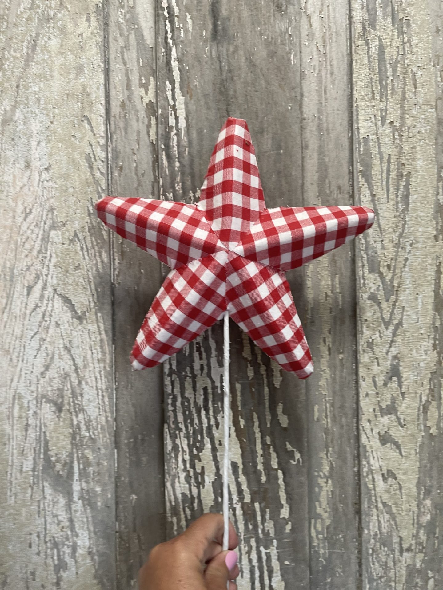Red and White Gingham Star Pick - Kelea's Florals