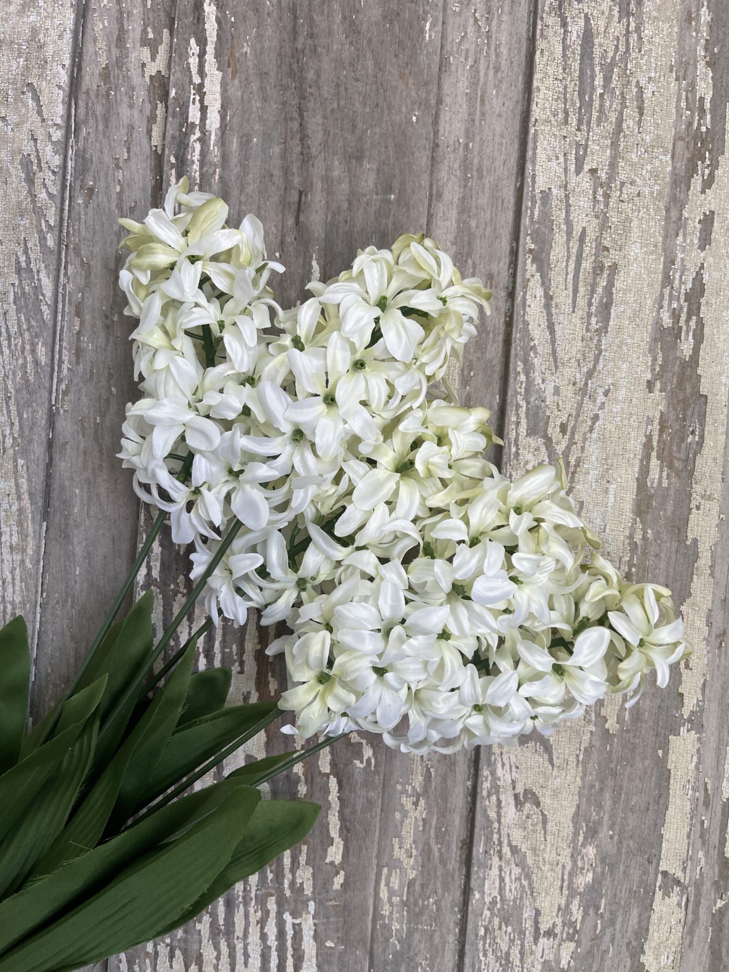 25" Cream Hyacinth Bush - Kelea's Florals