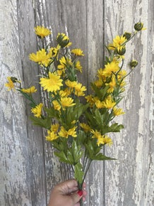 21" Yellow Mini Daisy Bush - Kelea's Florals