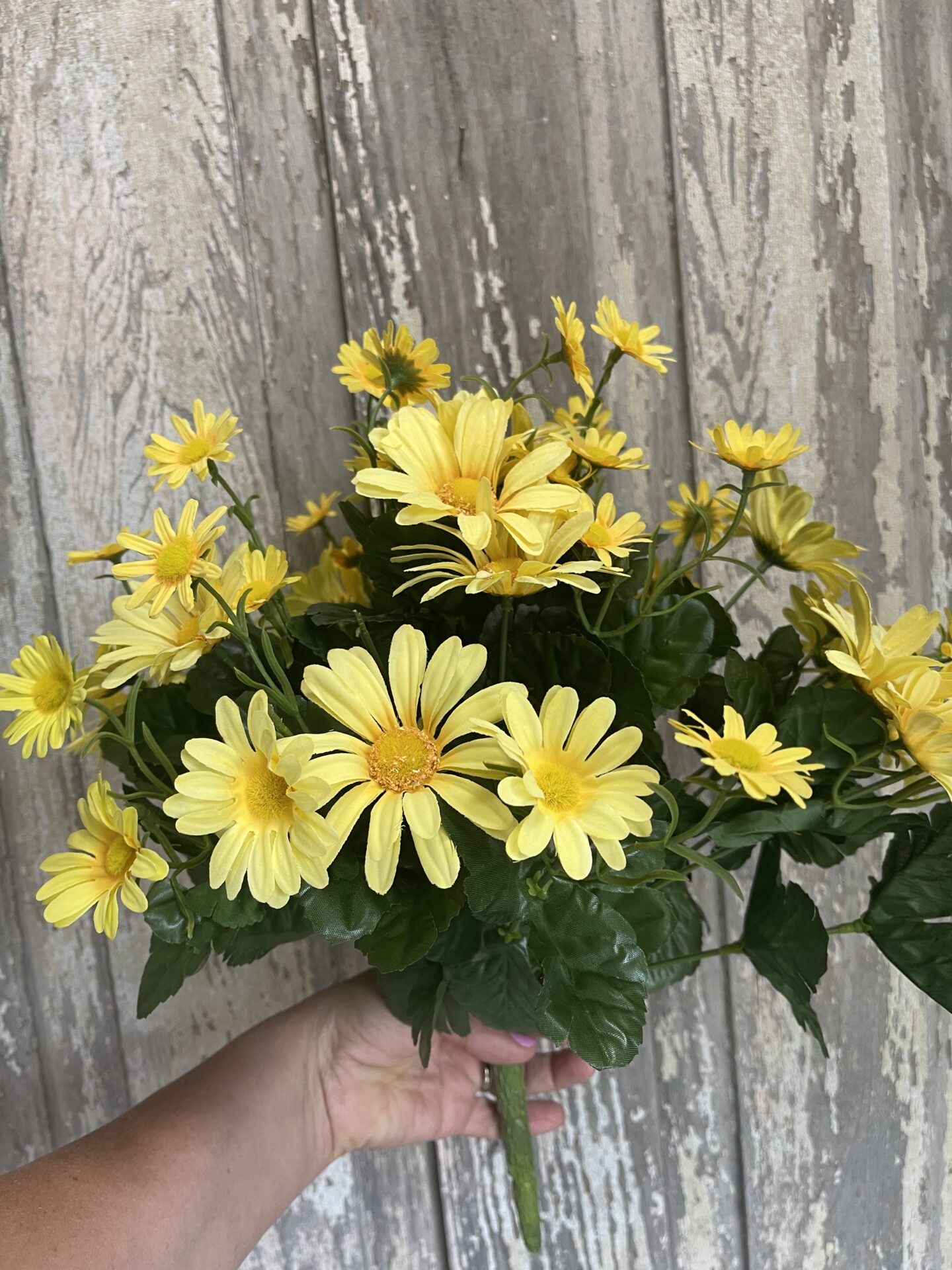 Yellow Garden Daisy Bush - Kelea's Florals