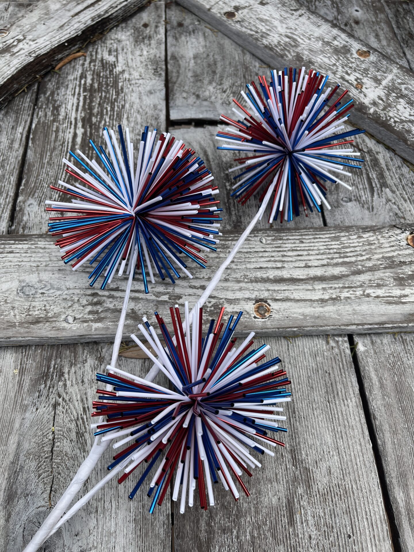 Red White Blue Fireworks Stem - Kelea's Florals