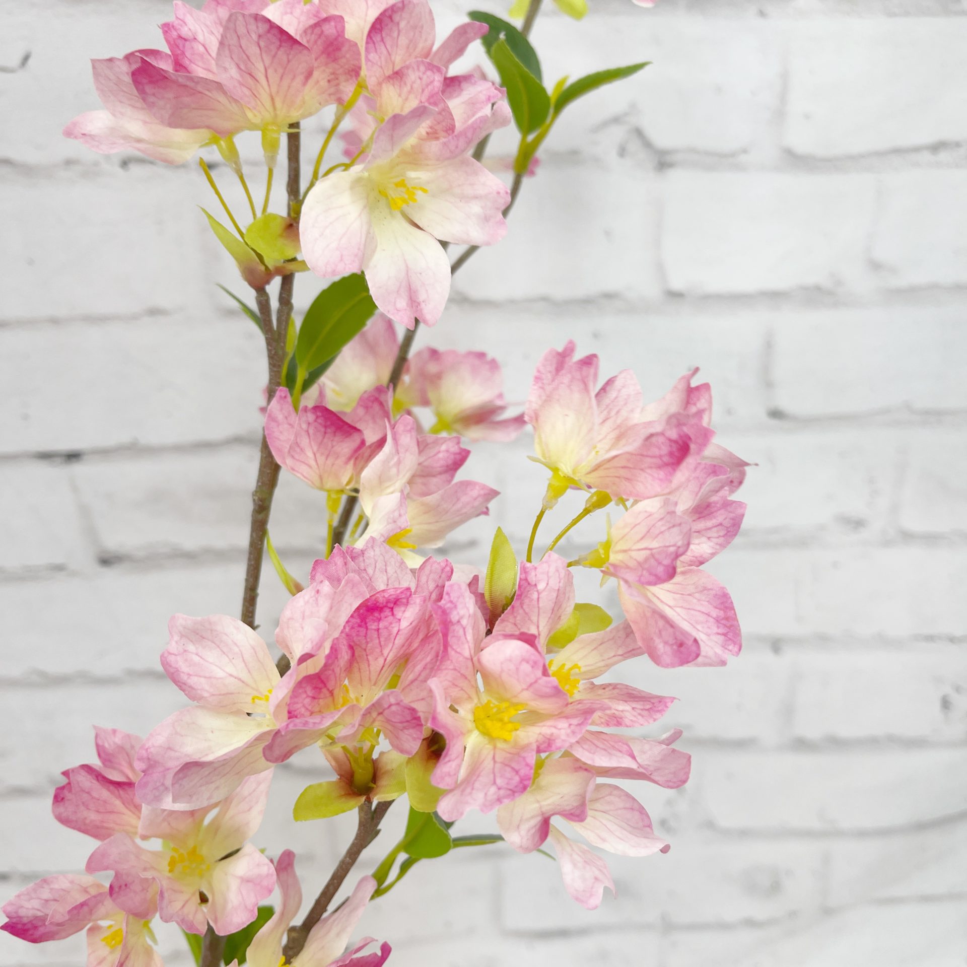 Pink Cherry Blossom Spray - Kelea's Florals
