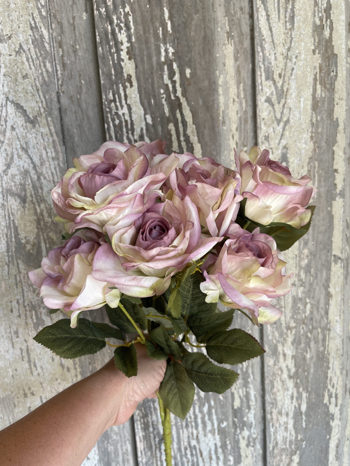 Lavender Dried Rose Bush - Kelea's Florals