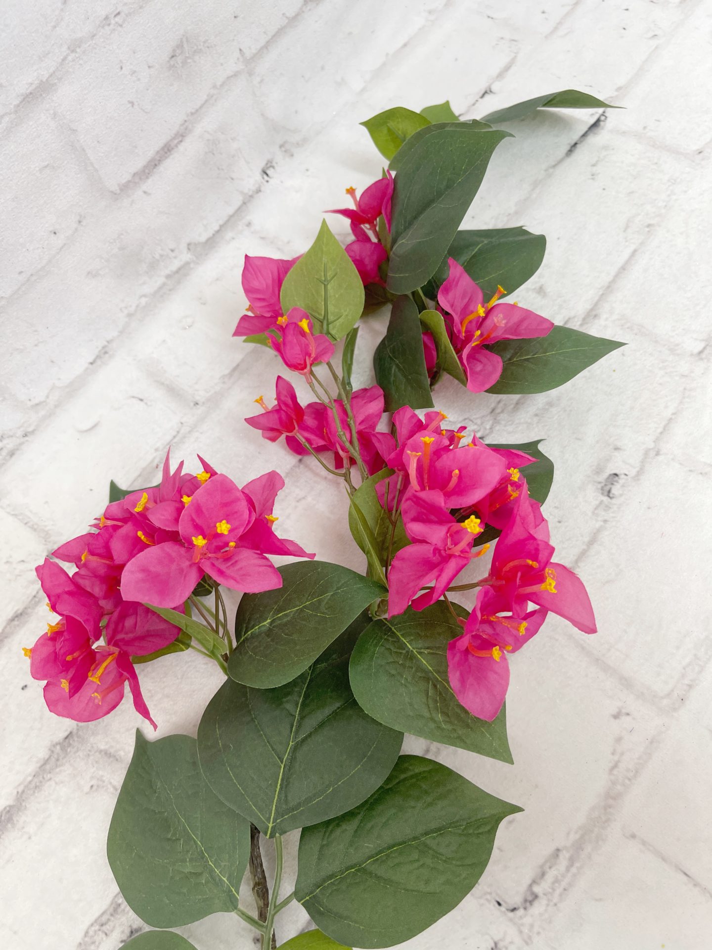 Bright Pink Bougainvillea Stem - Kelea's Florals