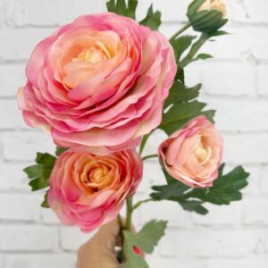 Floral Bushes Archives - Kelea's Florals