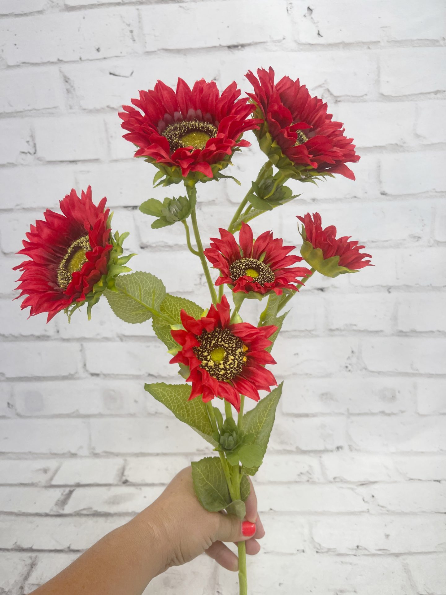 Red 6 head Sunflower Bush - Kelea's Florals