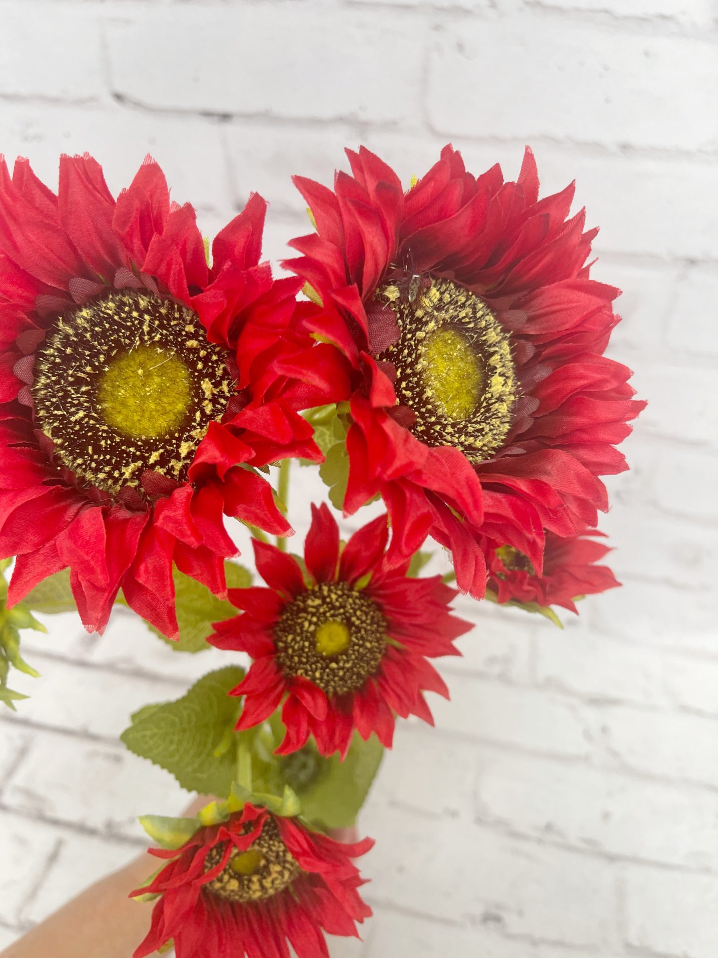 Red 6 head Sunflower Bush - Kelea's Florals