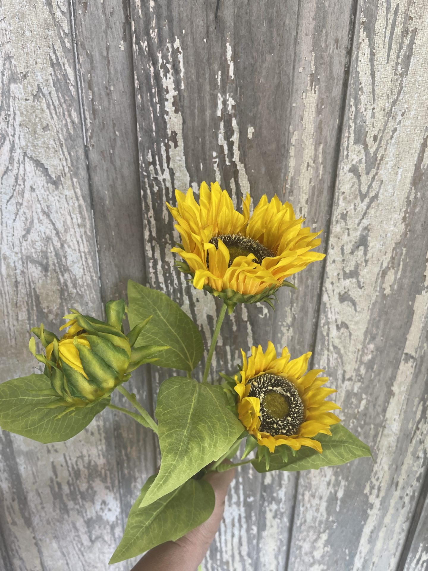 Yellow Sunflower Stem - Kelea's Florals