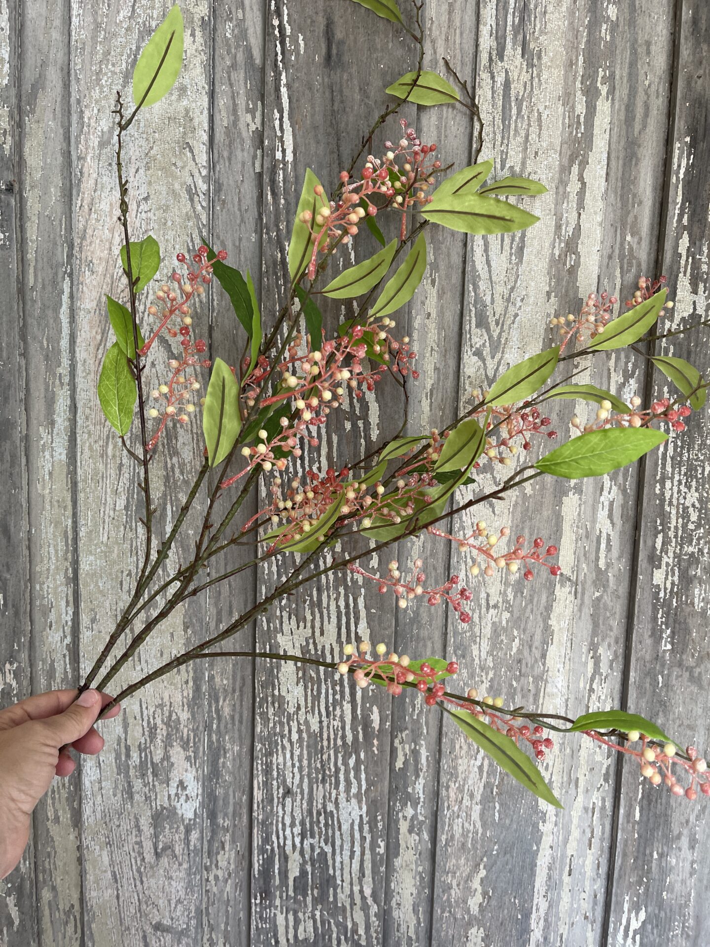 Orange Cream Berry Stem - Kelea's Florals