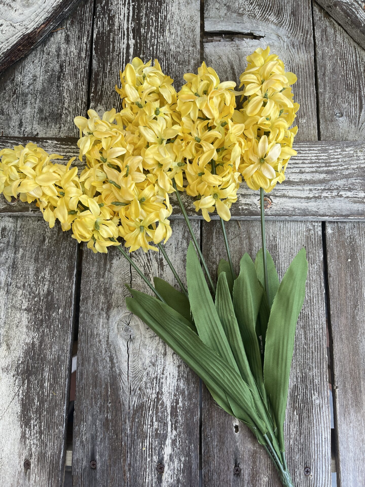 Large Yellow Hyacinth - Kelea's Florals