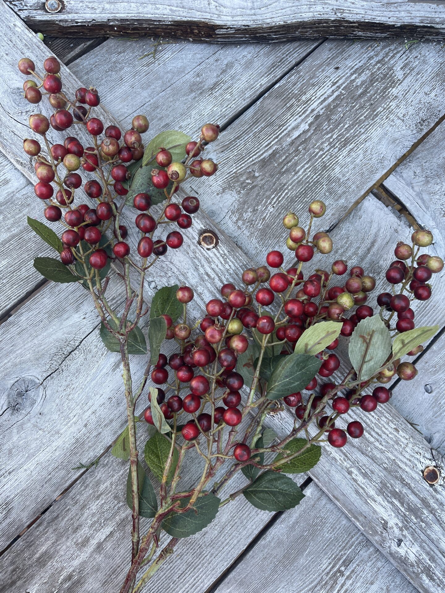 Red Berry and Leaves Stem - Kelea's Florals