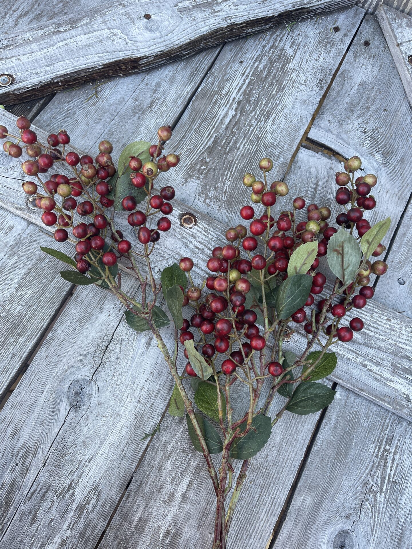 Red Berry and Leaves Stem - Kelea's Florals