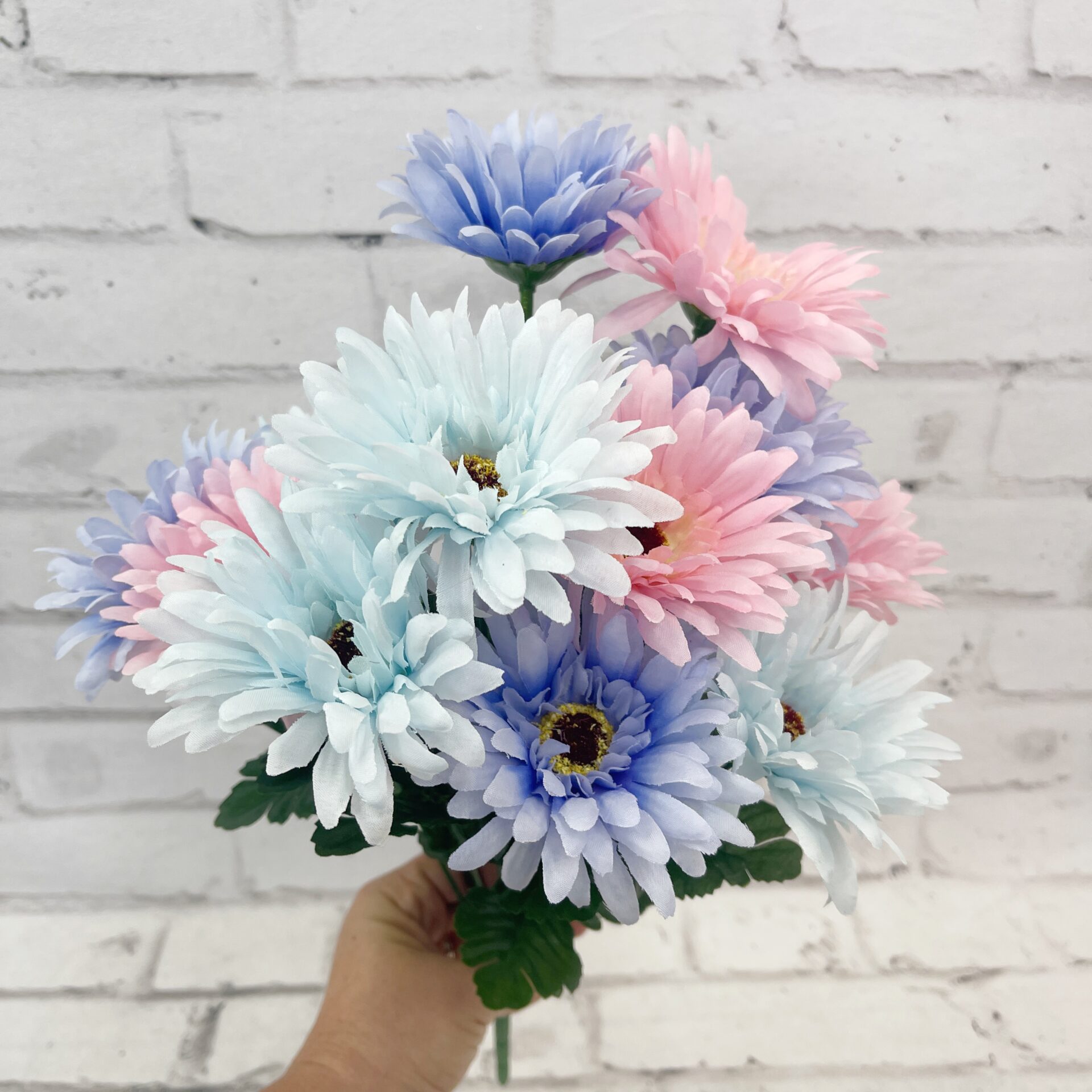 Mixed Pastel color Gerber Daisy Bush - Kelea's Florals