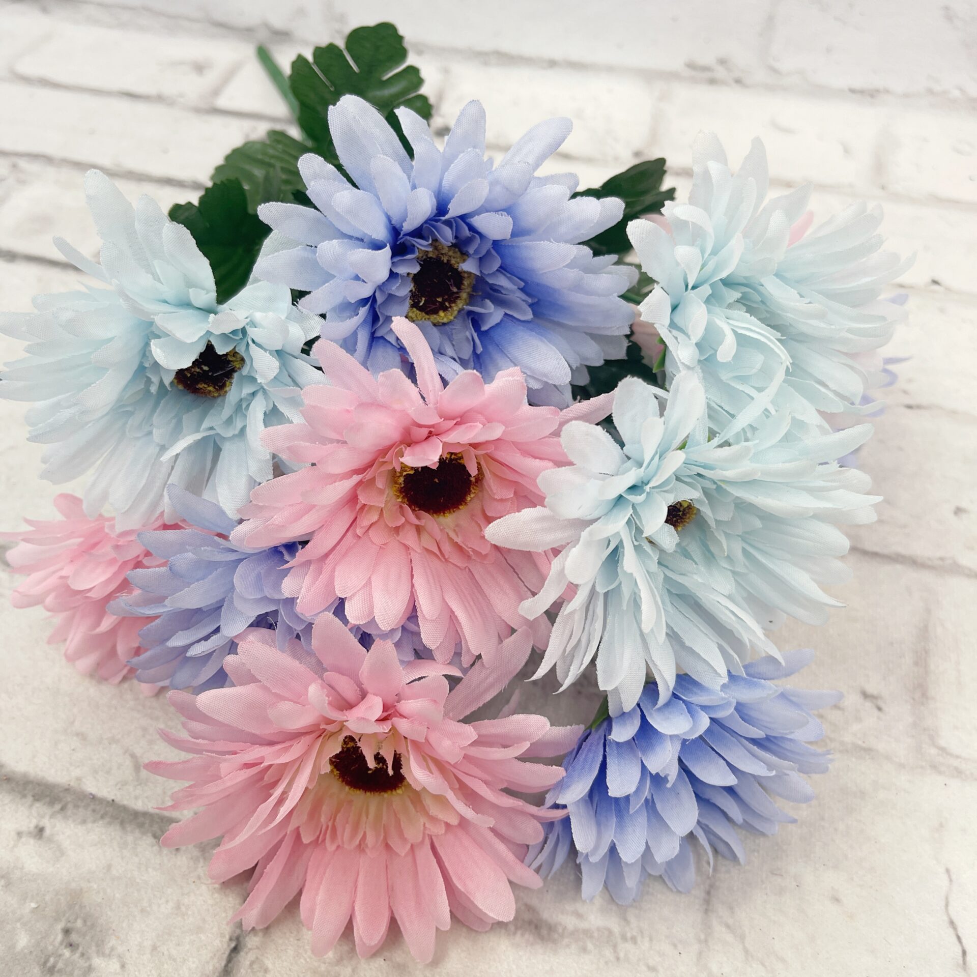 Mixed Pastel color Gerber Daisy Bush - Kelea's Florals