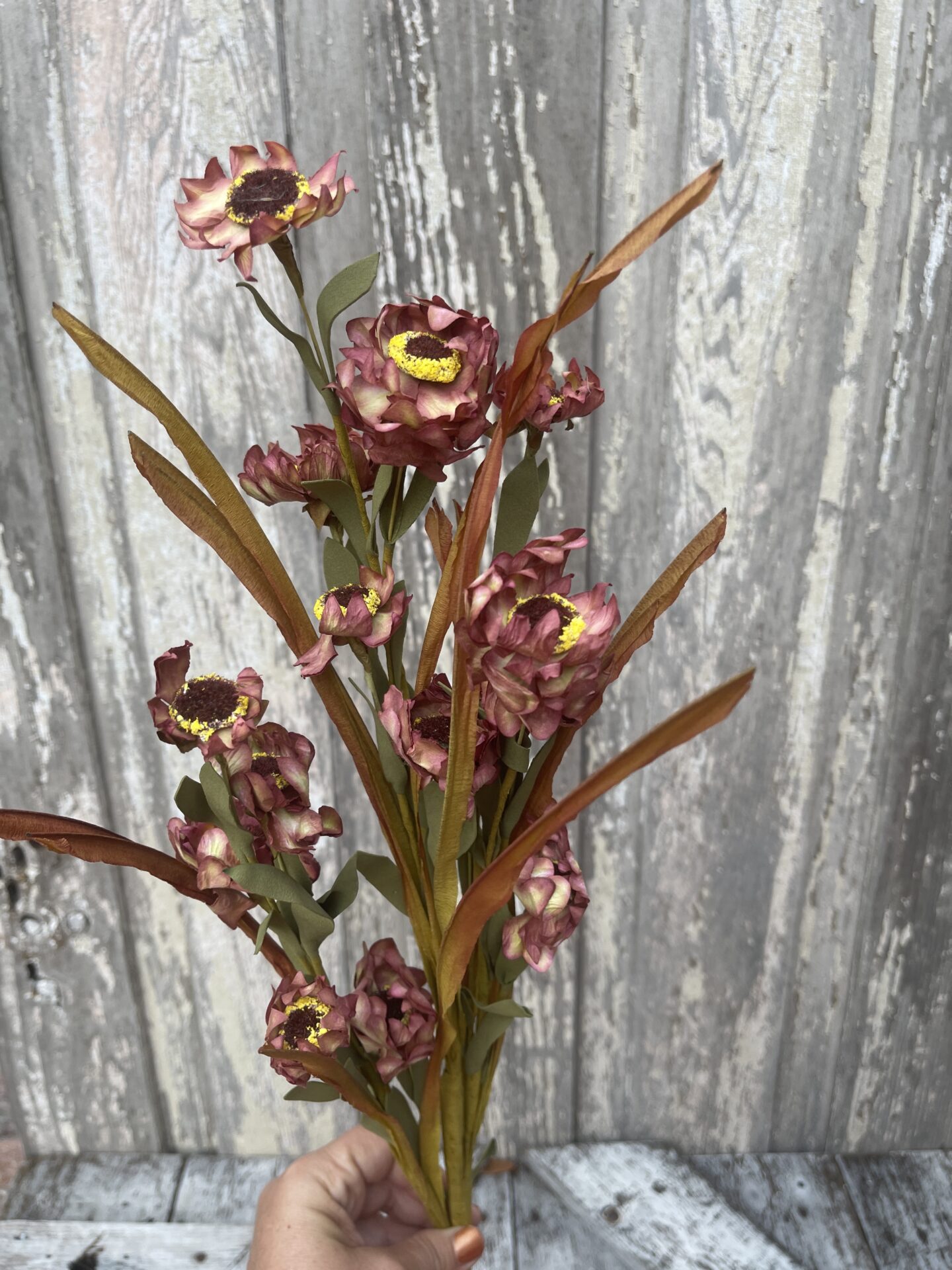 Mauve Anemone Stem - Kelea's Florals