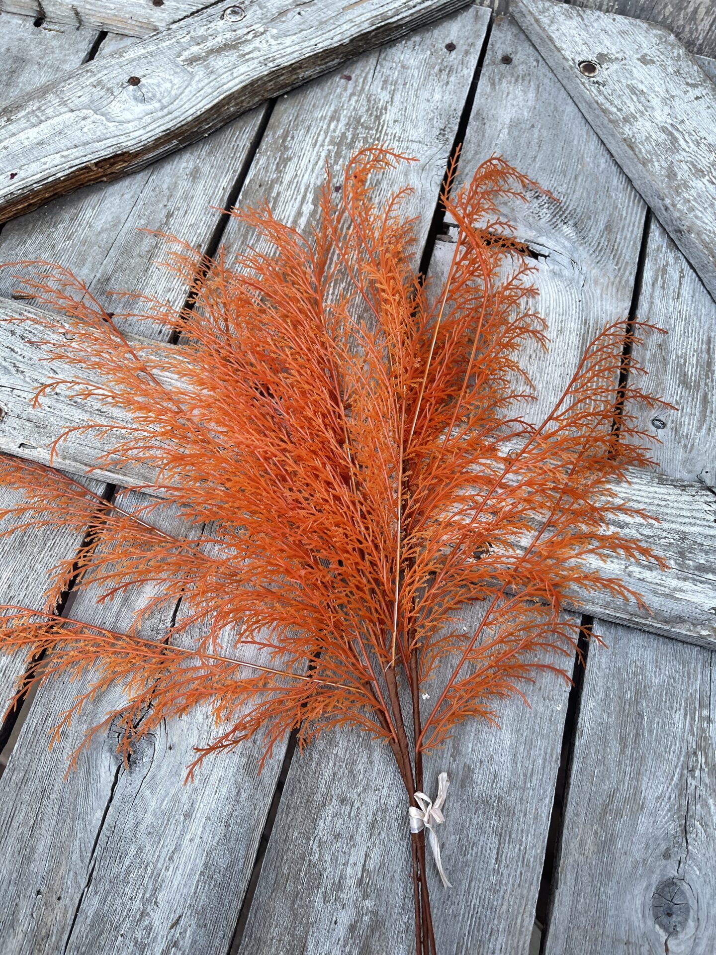 28" Orange Phoenix Tail Fern - Kelea's Florals