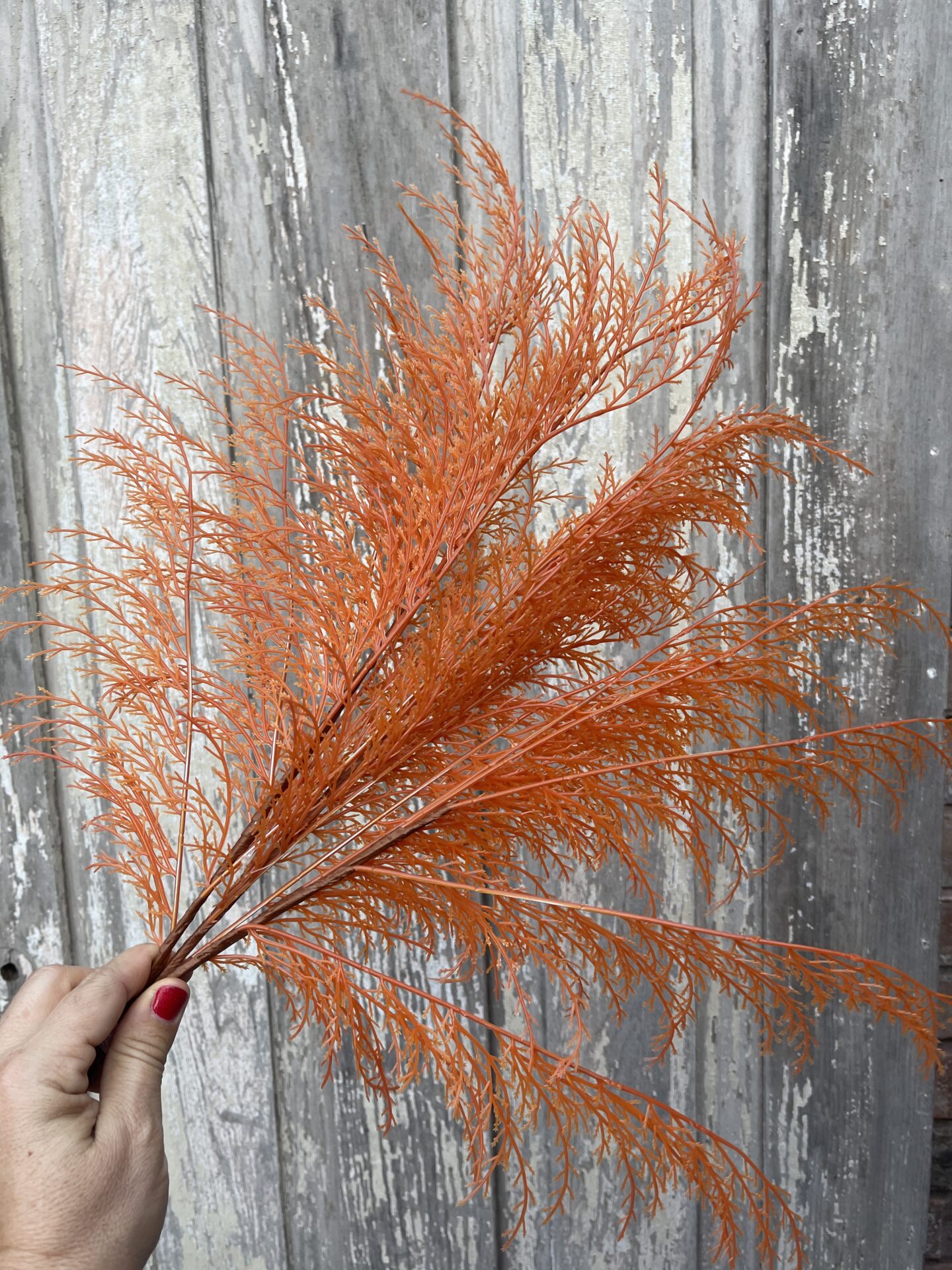 28" Orange Phoenix Tail Fern - Kelea's Florals