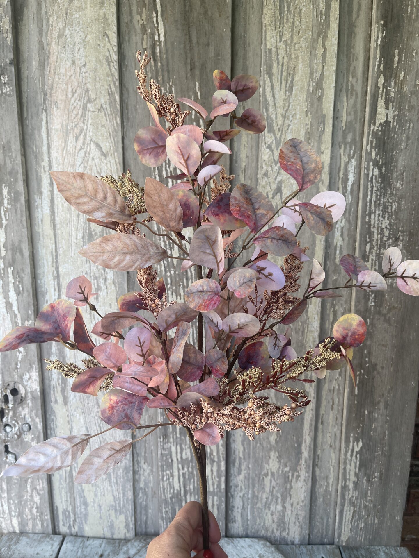 Fall Mixed Eucalyptus Stem - Kelea's Florals